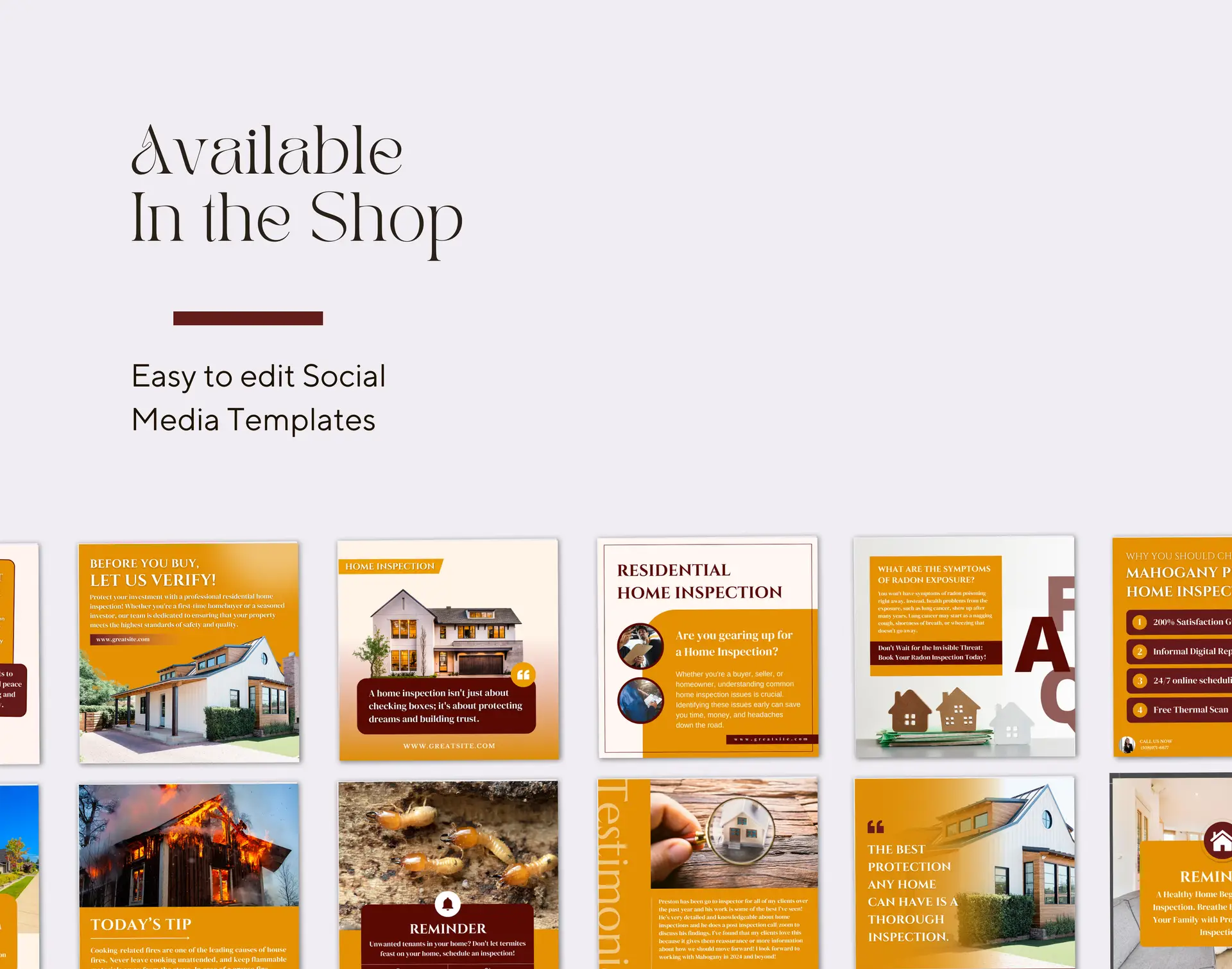 Home or House safety inspectors checker Property Real estate inspection ...